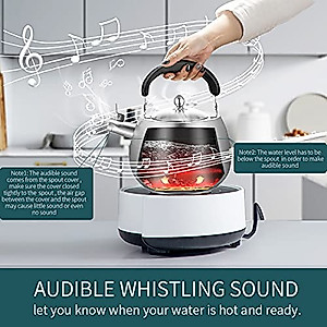 Heavy Duty Tea Kettle Stovetop Whistling Teakettle Teapot,seamless bottom, Stainless Steel 304, Brushed finish (4L)