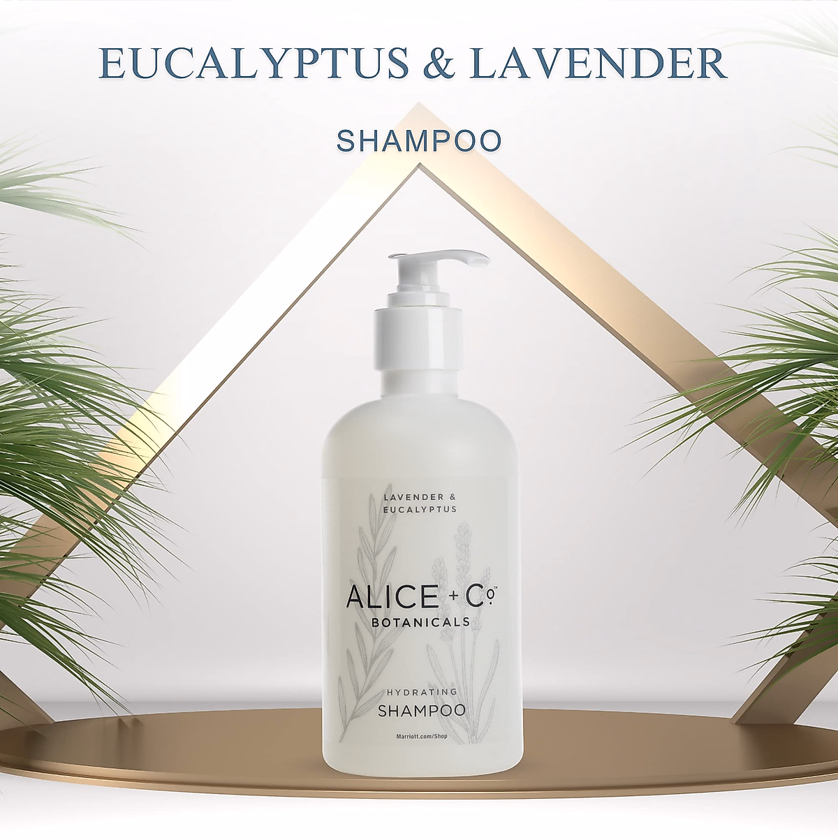 Alice + Co. Shampoo - Fairfield by Marriott - TownePlace - SpringHill - Hotel Bath Amenities - Lavender & Eucalyptus - 8.5oz Shampoo