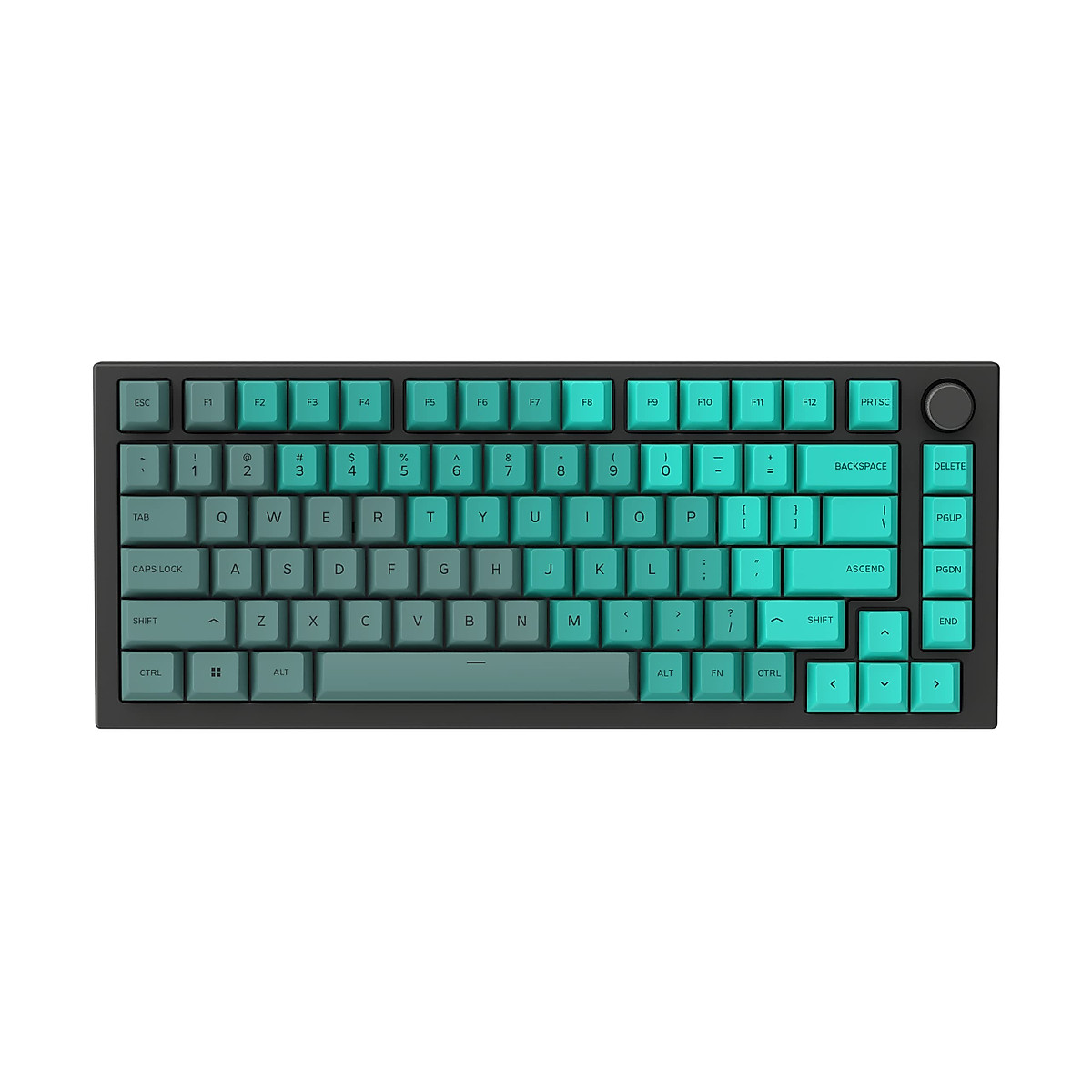 Glorious GPBT Dye Sublimated Keycaps (Rain Forest) -Thick PBT Plastic 114 Keycap Set for 100% Full Size, 85% 80% TKL, 60% Compact, 75% Mechanical Keyboards