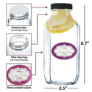 DilaBee Glass Juice Bottles with Lids [12 Pack] Bulk Glass Water Bottles with Caps for Juicing, Smoothie, Milk, and Kombucha - Homemade Drinking Glass Bottles for juicing - 16 Oz