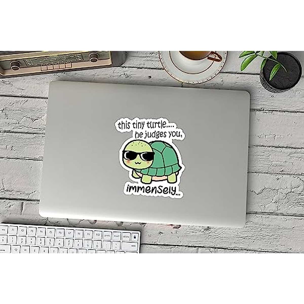 Miraki This Tiny Turtle He Judges You Immensely Sticker, Turtle Sticker, Adorable Sticker, Judgment Sticker, Water Assitant Die-Cut Vinyl Funny Decals for Laptop, Phone, Water Bottles, Kindle Sticker