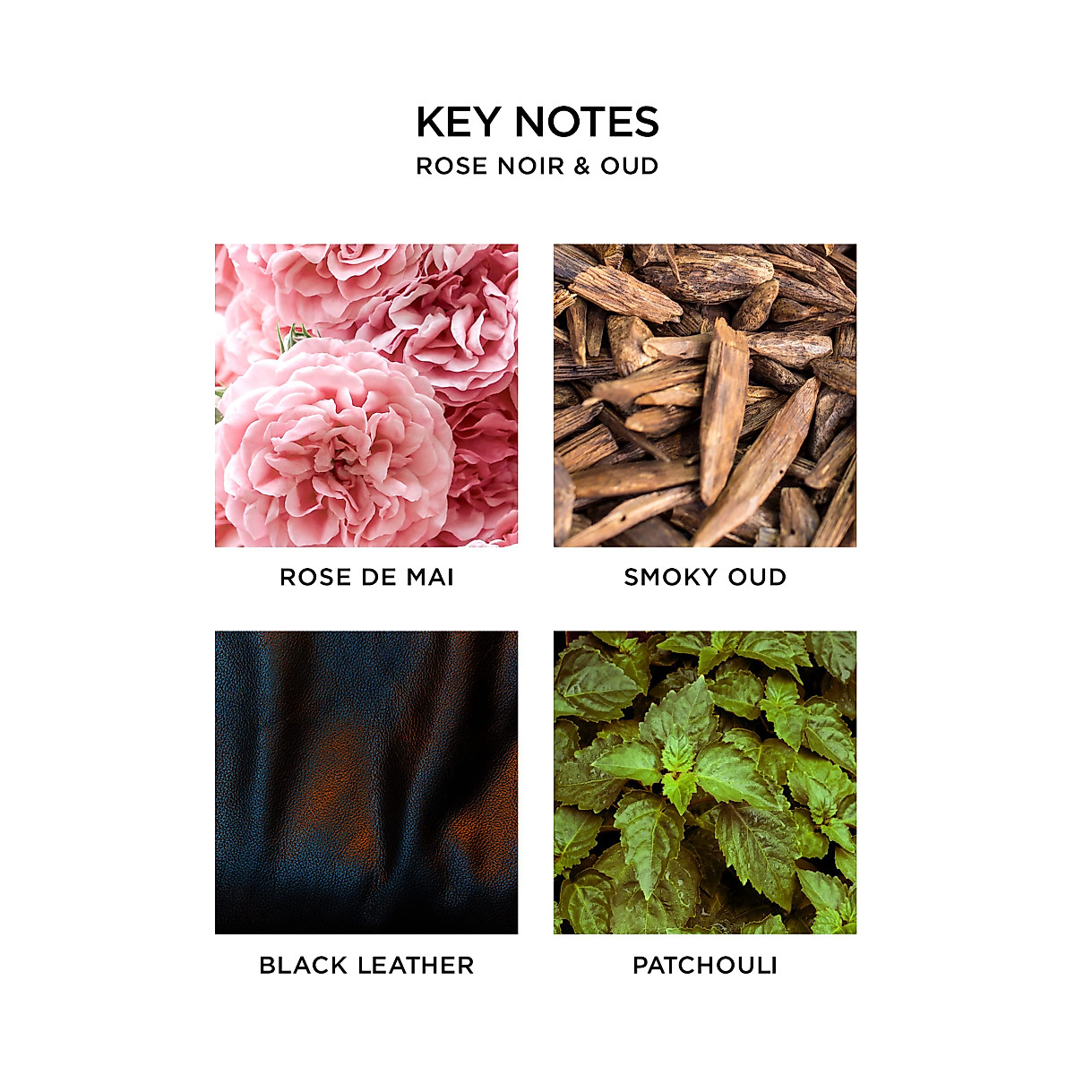 NEST New York Rose Noir & Oud Liquid Hand Soap