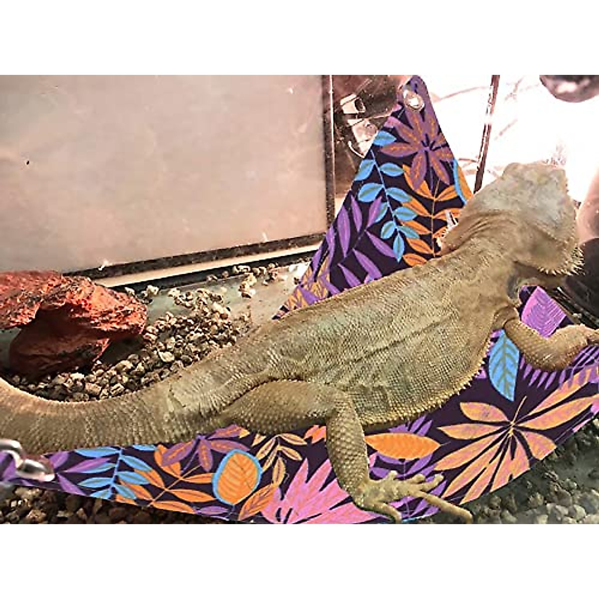 Bearded Dragon Hammock, Bearded Dragon Bed Lizard Lounger Soft Canvas Reptile Hammock for Reptile Habitat Lizard Reptile Tank Accessories (Purple, 15.7 ''x 15.7'' x 19.8'')
