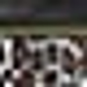 RARITYUS Women Crossbody Shoulder Bag Leopard Print PU Leather Purse with Tassel Messenger Handbag