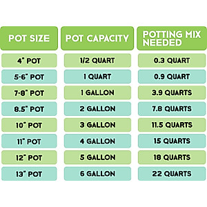 Bird of Paradise Planting Soil, Hand Blended All Natural Potting Mix for Planting, Growing, or Repotting Bird of Paradise Plant, Potting Soil for Bird of Paradise, Small Batch Hand Blended 8QT Bag