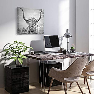 Stupell Industries HOME Black and White Highland Cow Photograph Stretched Canvas Wall Art, 30x40, multi-color,Living Room