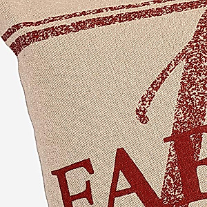 VHC Brands Sawyer Mill Red Farmhouse Living Pillow Bedding Accessory, 14x22