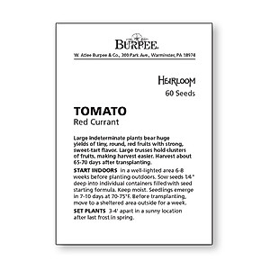 Burpee 'Red Currant', Red Cherry Tomato, Sweet Flavor, 60 Non-GMO Seeds