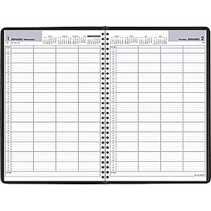 2022 Four Person Group Daily Appointment Book by AT-A-GLANCE, 8" x 11", Large, DayMinder, Black (G56000)
