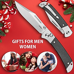 LOTHAR Falcon Pocket Knife, 2.98" 14C28N Steel Blade EDC Knife, G10 Handle, Pocket Folding Knife with Clip, Button Lock Knife, Gifts Pocket Knife for Men Women (Sliver)