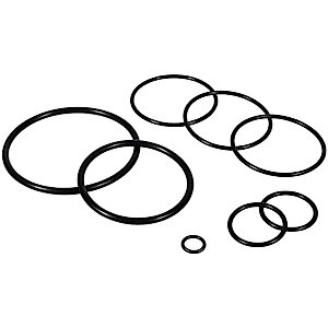 Black R0502500 O-Ring Reseal Kit for Nature2 Water Sanitizer Cleaner Aftermarket Oring Rebuild Kit, Fusion Inground, Fusion Soft,Polaris Scorpio Crystals, 280, 380, Back up Valve (8PCS)