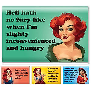 4 Pack Refrigerator Magnets - Funny Fridge Magnet - Perfect Housewarming Gift, or Gift for Women Friends
