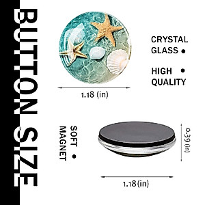 Medium Refrigerator Magnets Funny-Cute Fridge Magnet Beach Starfish and Seashell-6 Pieces Glass Refrigerator Magnet Round Decorative Magnets for Whiteboard Photo Office Locker