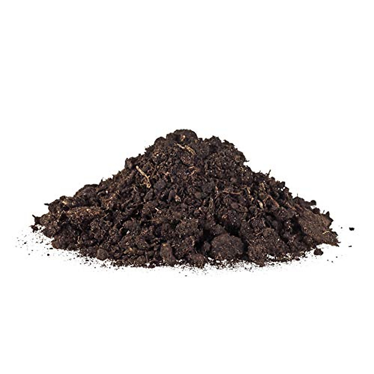 Succulent Cactus Seed DIY Terrarium Germination Starter Kit for Indoor Garden Growing - Mini Terrarium Kit with Seeds, Soil, Rocks, Moss, Pea Gravel, Activated Charcoal, and Burlap Potting Planters