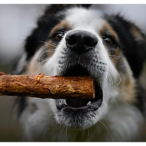 Fieldcrest Farms Nothing to Hide Natural Rawhide Alternative 5'' Rolls for Dogs - 3 Pack (6 Chews) Premium Grade Easily Digestible Chews (Beef)