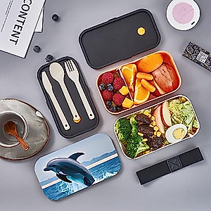 Jumping Up Dolphins Adult Lunch Box, Bento Box, With Cutlery Set Of 3, 2 Compartments, Rectangular, Lunch Box For Adults