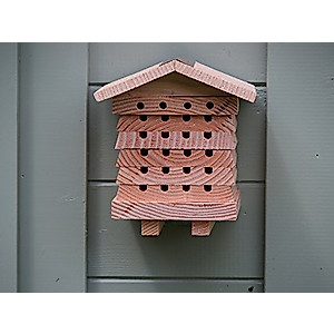 Wildlife World Interactive Wooden Bee House - Pollinator Bee Management System