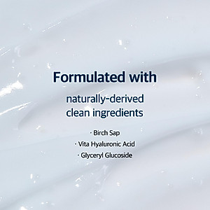 ROUND LAB Birch Juice Moisturizing Cream 2.7 Fl Oz, 48-Hour Deep Hydrating Face Moisturizer with Birch Sap & Vita Hyaluronic Acid for Acne-Prone Skin, Reduces Sebum, Oil, Blackheads, Korean Skin Care