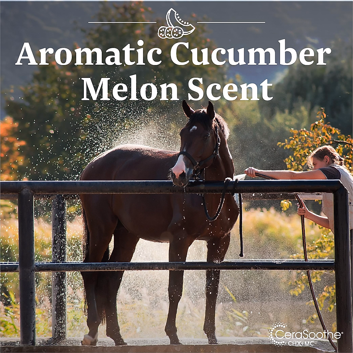 CeraSoothe® CHX+MC Antiseptic Shampoo 8oz