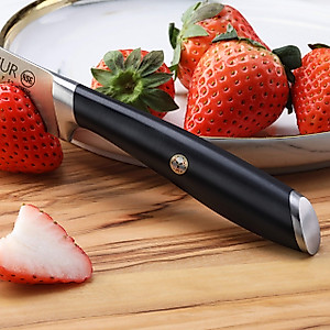 SAVEUR SELECTS 1026245 German Steel Forged 3.5" Paring Knife