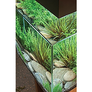 Fluval Edge Aquarium Kit, 6 Gallon, Black