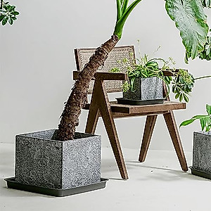 LWALRS Square Plant Saucer 16 Inch 2 Pack, Duty Plastic Plant Saucer, Heavy Duty Plant Pot Saucers, Garden Large Deep Plant Trays for Pots, Planters for Indoors and Outdoors Plants.