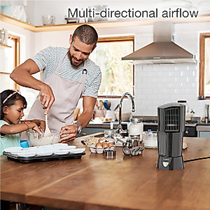 Lasko 4916 Platinum Desktop Wind Tower Oscillating Fan