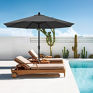 ABCCANOPY 10FT Patio Umbrella - Outdoor Waterproof Table Umbrella with Push Button Tilt and Crank, 8 Ribs UV Protection Pool Umbrella for Garden, Lawn, Deck & Backyard (Dark Gray)