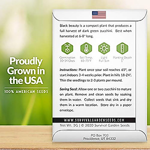 Survival Garden Seeds - Black Beauty Zucchini Seed for Planting - Pack with Instructions to Plant and Grow Dark Green Zucchini in Your Home Vegetable Garden - Non-GMO Heirloom Variety - 1 Pack