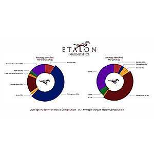Etalon Diagnostics Horse DNA Test, Genetic Testing Plus Ancestry (65+ Traits) - Identify Equine Breed Composition & DNA - Test for Coat Color, Diseases, Abilities - MiniPanel Plus + Ancestry