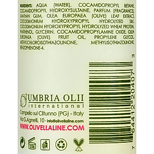 Olivella Olive Shampoo and Conditioner Set (8.45 Fluid Ounces)