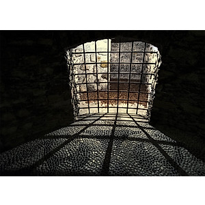 CORFOTO 5x3ft Fabric Medieval Jail Cell Backdrop for Photography Prison Window Light Background Old Dungeon Cell Party Decorations Murder Mystery Party Backdrop Photoshoot Booth Studio Props
