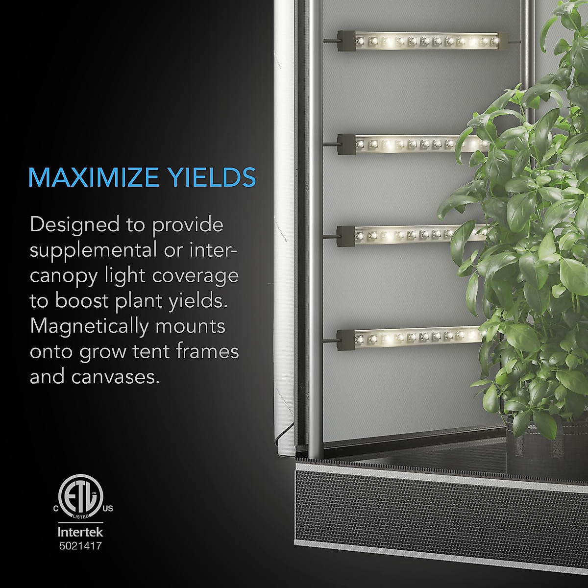 AC Infinity IONBEAM S16, Full Spectrum LED Grow Light Bars 16”, Deeper Penetration Samsung LM301H EVO Diodes and Digital Dimming Timer Controller, for Veg Bloom Indoor Plants, Grow Tents, Greenhouses