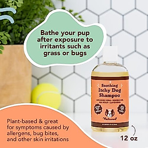 Natural Dog Company Itchy Dog Shampoo, 12 oz., Dog Dry Skin Treatment, Dog Itch Relief, Hypoallergenic, Plant Based Ingredients, Deodorizing Dog Shampoo, Relief from Skin Allergy Symptoms