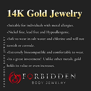 Forbidden Body Jewelry 20g 8mm Solid 14K White Gold Hoop Ring for Nose and Cartilage Piercings