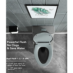 One Piece Toilet Dual Flush Elongated Standard Modern Toilet 1.1/1.6 GPF Soft Close Seat Save Water Powerful & Quiet - Gray, 27.5"D x 14"W x 28.6"H