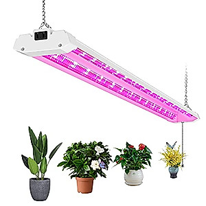 ANTLUX 4ft LED Grow Lights 50W Full Spectrum Integrated Growing Lamp Fixtures for Greenhouse Hydroponic Indoor Plant Seedling Veg and Flower, Plug in, ON/Off Pull Chain Included