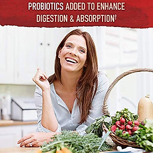 Garden of Life Organic Ashwagandha Stress, Mood & Energy Support Supplement with Probiotics & Ginger Root for Digestion - mykind Organics - Vegan, Gluten Free, Non GMO – 2 Month Supply, 60 Tablets