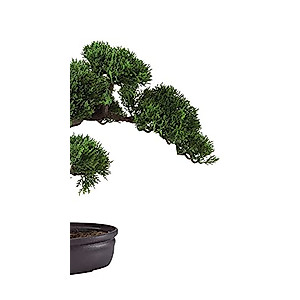 Nearly Natural 4106 16in. Cedar Bonsai Silk Plant,Green