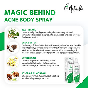 Face, Body Acne Spray - Salicylic Acid - Butt, Back Acne Treatment - Cystic Hormonal Acne Treatment, Body, Chest Spray