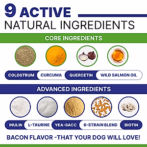 PAWSENTIAL Allergy Relief Dog Chews (240 Immune Treats) - Omega 3 + Colostrum + Probiotics - Itchy Skin Relief - Seasonal Allergies - Anti-Itch & Hot Spots - Immune Supplement - Made in USA