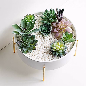 kimisty 10 Inch Large Round Succulent Planter Bowl with Gold Metal Plant Stand, White Ceramic Pot with Drainage, Succulent Garden Shallow Pot, Centerpiece Tabletop