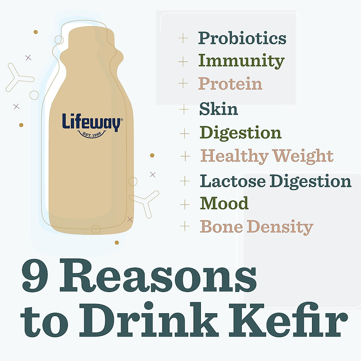 Lifeway Low Fat Kefir - 10g Protein, 12 Live Active Probiotic Cultures, Up to 99% Lactose Free, Gluten Free – Blueberry, 32 oz