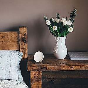 Airthings-292 Wave Mini - Indoor Air Quality - Chemicals (TVOCs), Humidity, Temperature 20 x 30 x 1