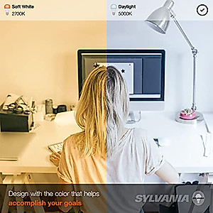 SYLVANIA Night Chaser LED PAR38 Light Bulb, 250W=25W, Wet Rated, 2650 Lumens, 5000K, Daylight - 1 Pack (74794)