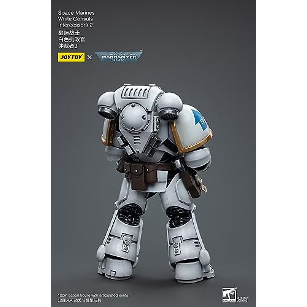 JoyToy Warhammer 40K: Space Marines White Consuls Intercessors 2 1:18 Scale Action Figure