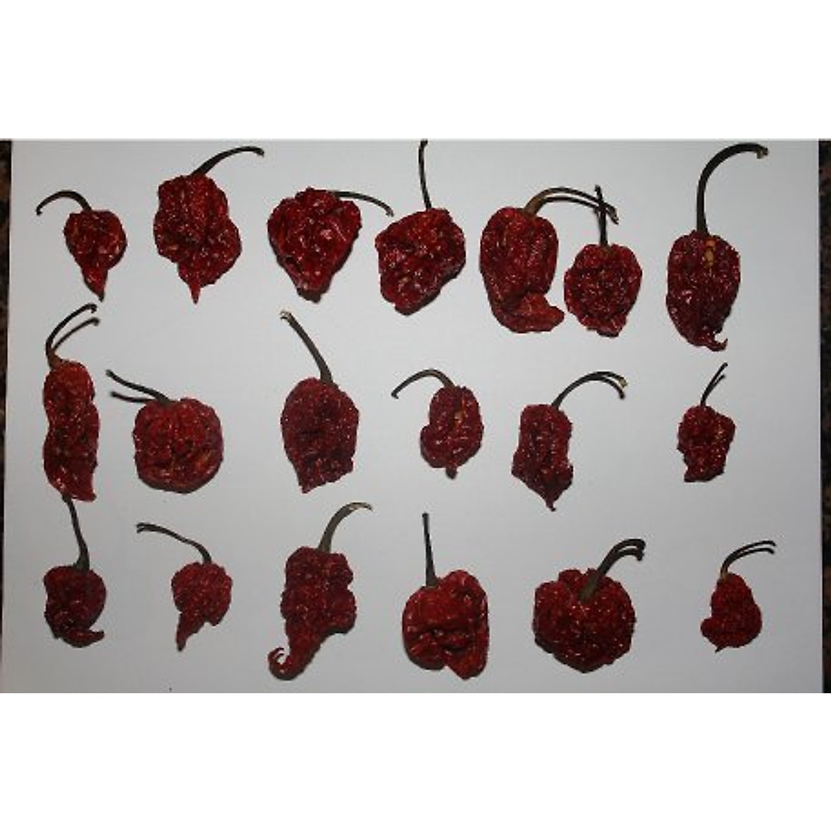 Spice Gift Set Ghost Pepper Scorpion Chili Carolina Reaper Peppers Dried Whole Peppers