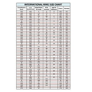 Goyal Jewels Silver Ring 925 Sterling Silver Band and Spinner Meditation Beautiful Ring Men Women Ring Gift Item Statement Handmade Jewelry Ring GESR260 (US-15)