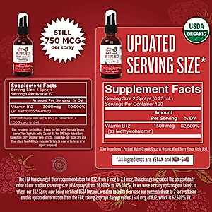MaryRuth Organics Vitamin B12 Spray & Elderberry Gummies for Immune Support (Cherry) Bundle Liquid Spray for Nerve Function & Energy Boost | Organic Ingredients for Adults & Kids with Echinacea,