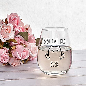Cat Dad Stemless Wine Glass - Funny Dad Wine Glass for Cat Lovers, Dad, New Dad, Father, Papa, Dad Gifts for Christmas, Birthday, Father's Day 15Oz